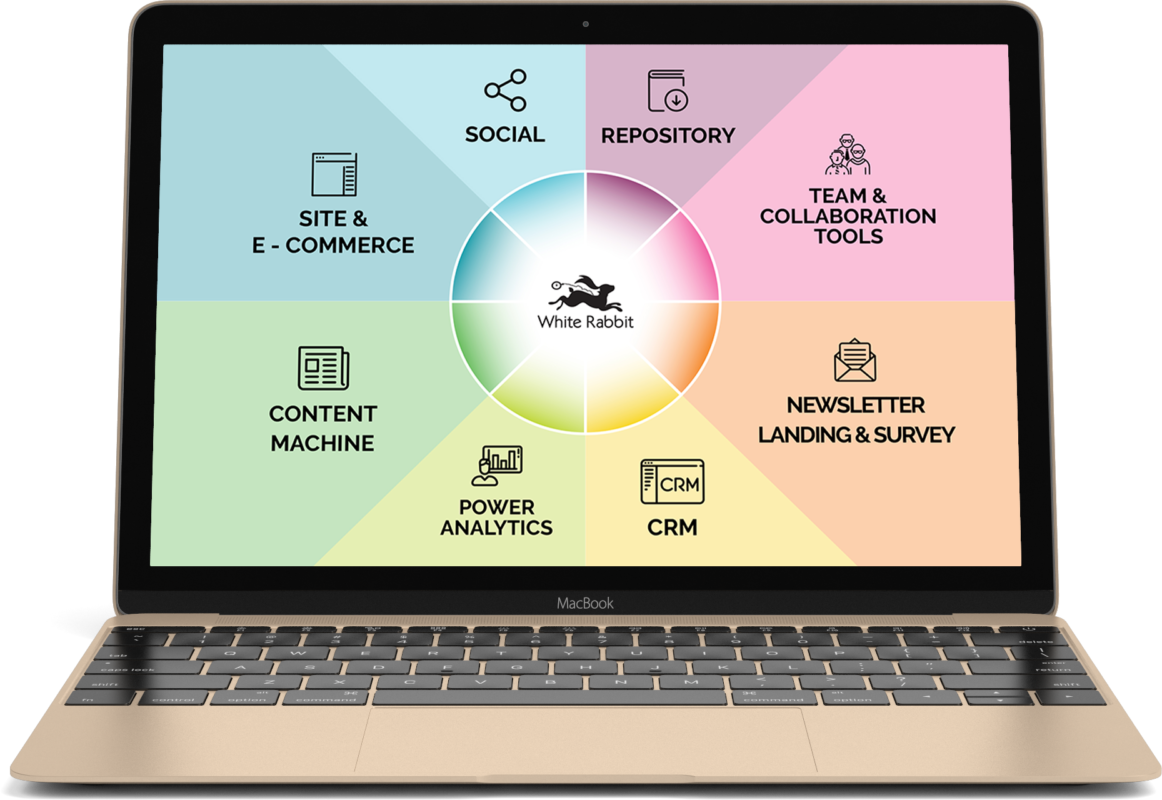 Digital Transformation - Digisoft S.p.A.